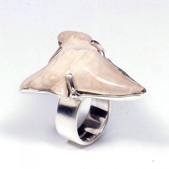 Shark Tooth Ring | Marya Williams, Jeweler